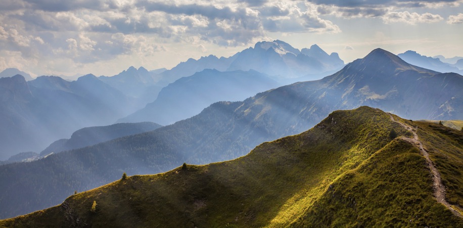 CEO Tribe | Using "The Calf Path" To Evaluate Habits